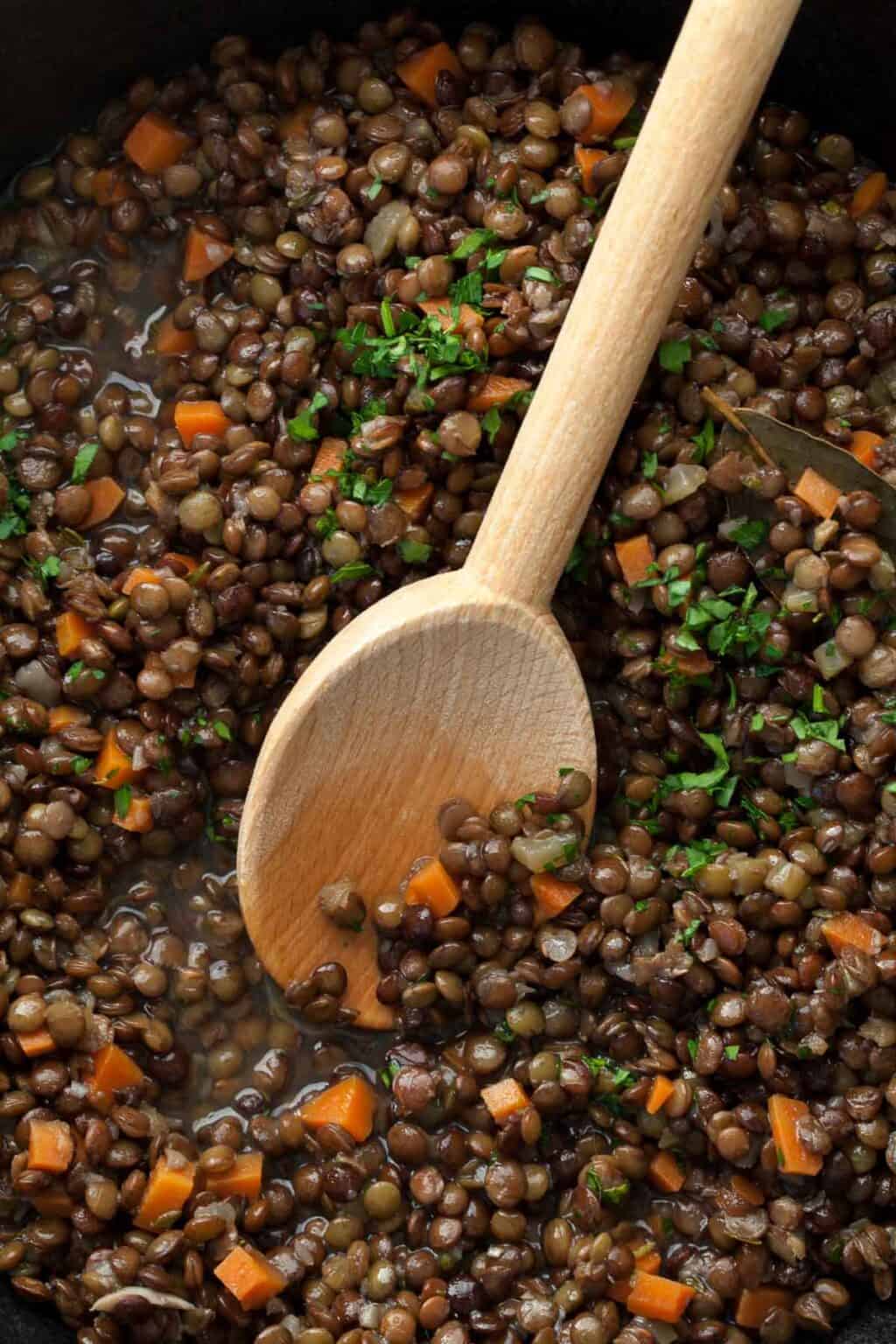 Easy Hearty Stewed Lentils – Ready in 30 Minutes